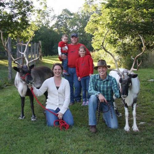 Raising Reindeer: Reindeer Don’t Always Live At The North Pole - Grit